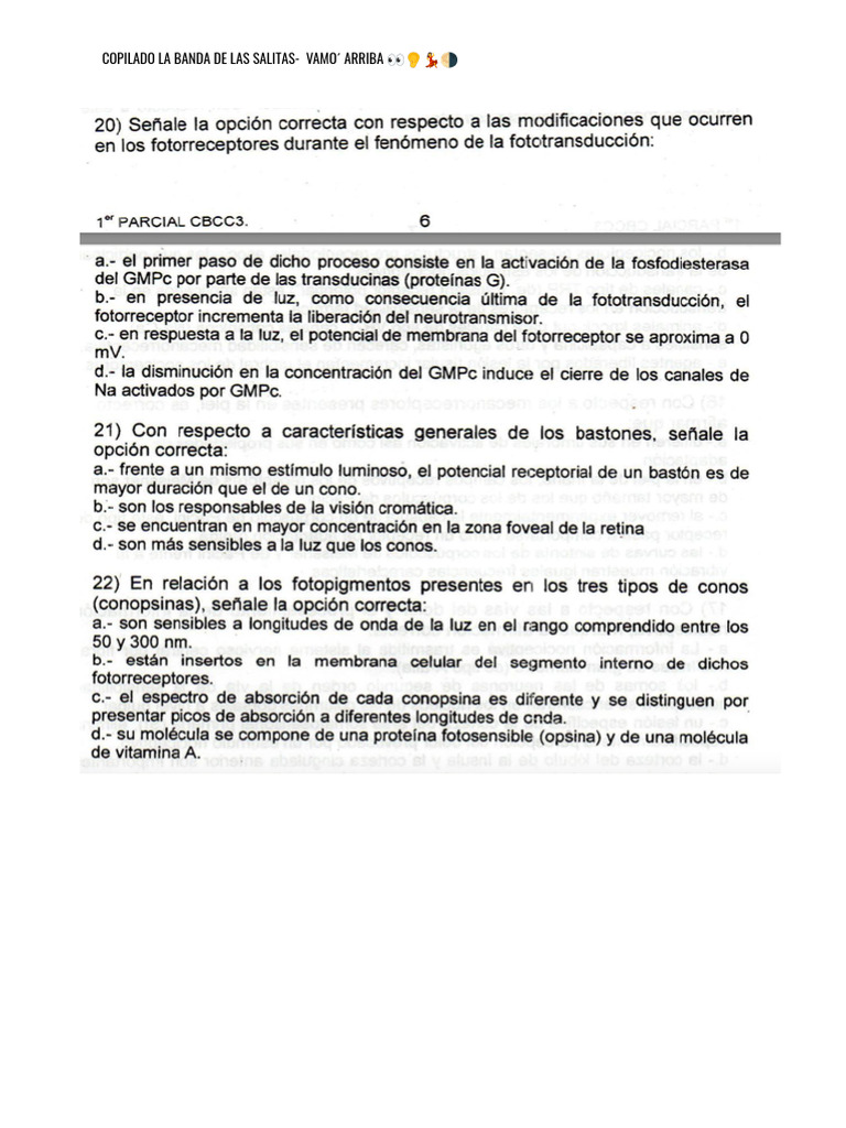 Compilado Preguntas 2 Parcial n | PDF