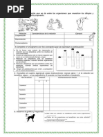 Cadena Alimenticia - Productores, Consumidores y Descomponedores PDF ...