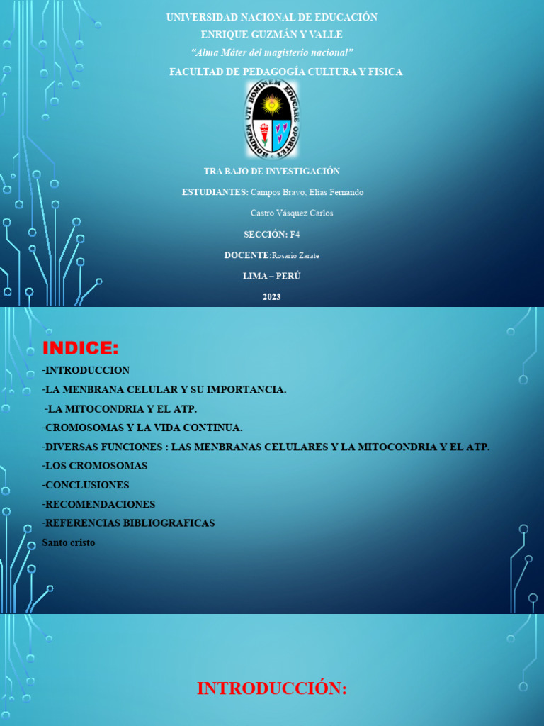Bioquimica Diapositiva | Descargar gratis PDF | Membrana celular ... Bioquimica Diapositiva | Descargar gratis PDF | Membrana celular ...