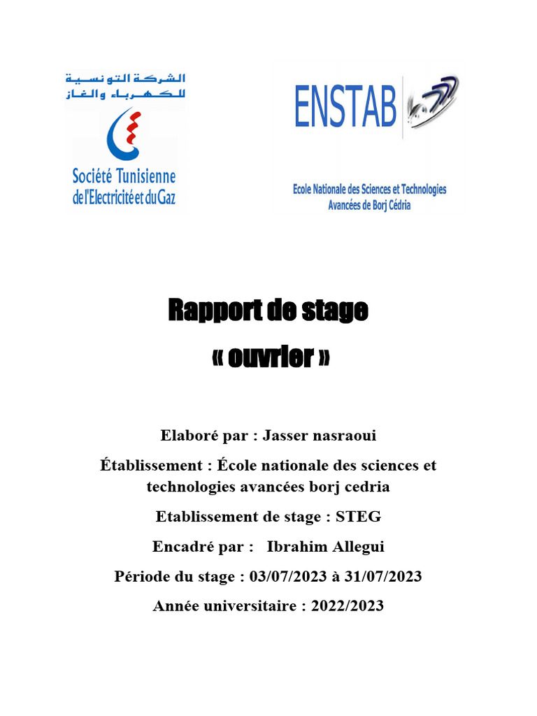 Stage Steg | PDF