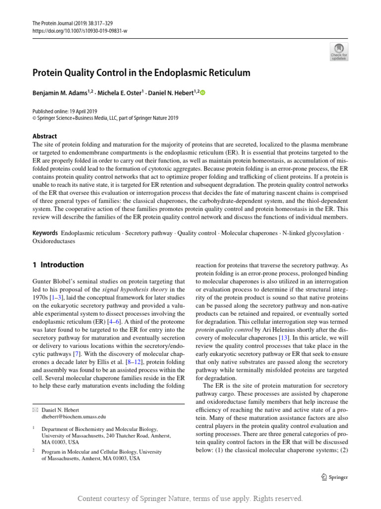 Protein Quality Control in The Endoplasmic Reticul | PDF