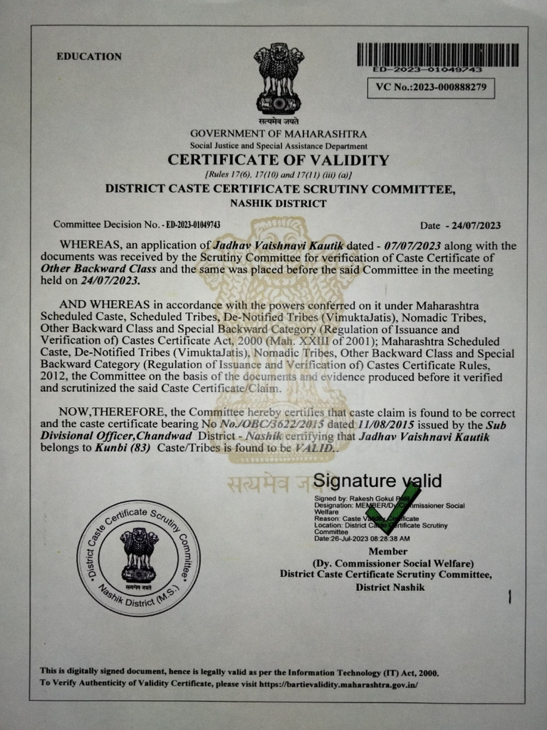 Cast Validity 2 | PDF