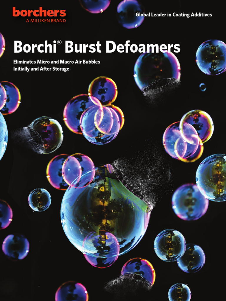 BOR Borchi Burst Brochure 120122 | PDF
