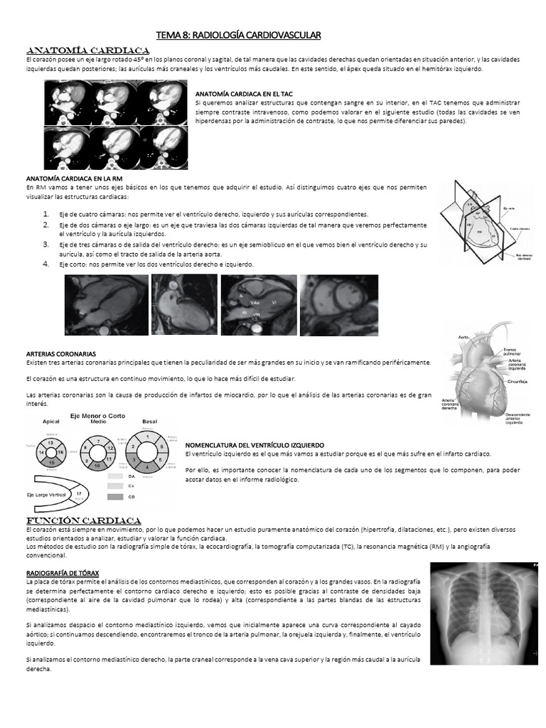 Tema 8. Radiología Cardiovascular | PDF | Corazón | Sistema circulatorio