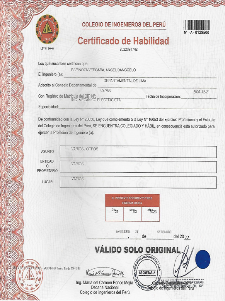 Cert. Habilidad - Cip 097486 | PDF