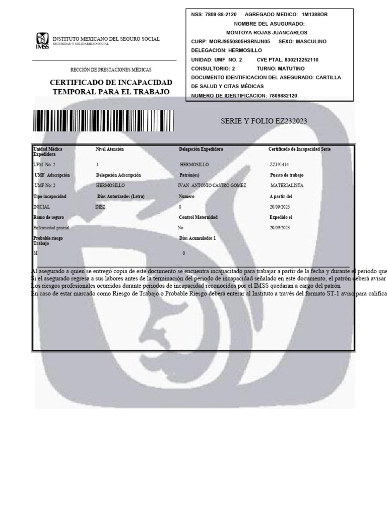 Formato Incapacidad Imss Editable Word | PDF | Cuidado de la salud ...