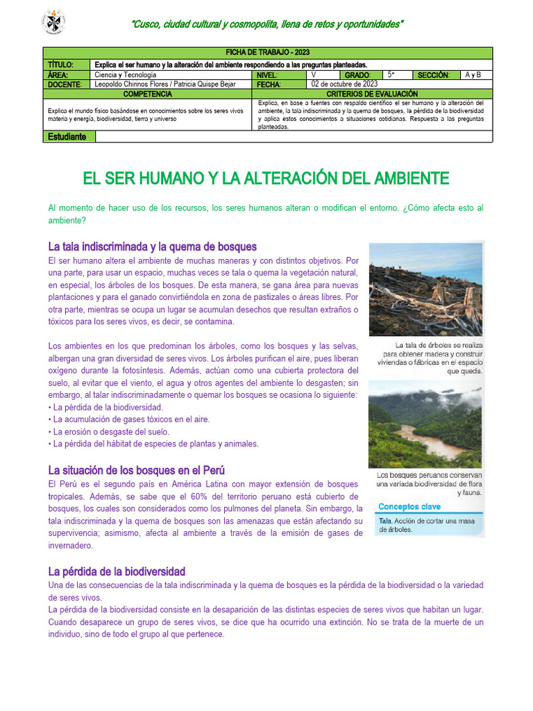 Impacto humano en el ambiente y biodiversidad | PDF | Deforestación ...
