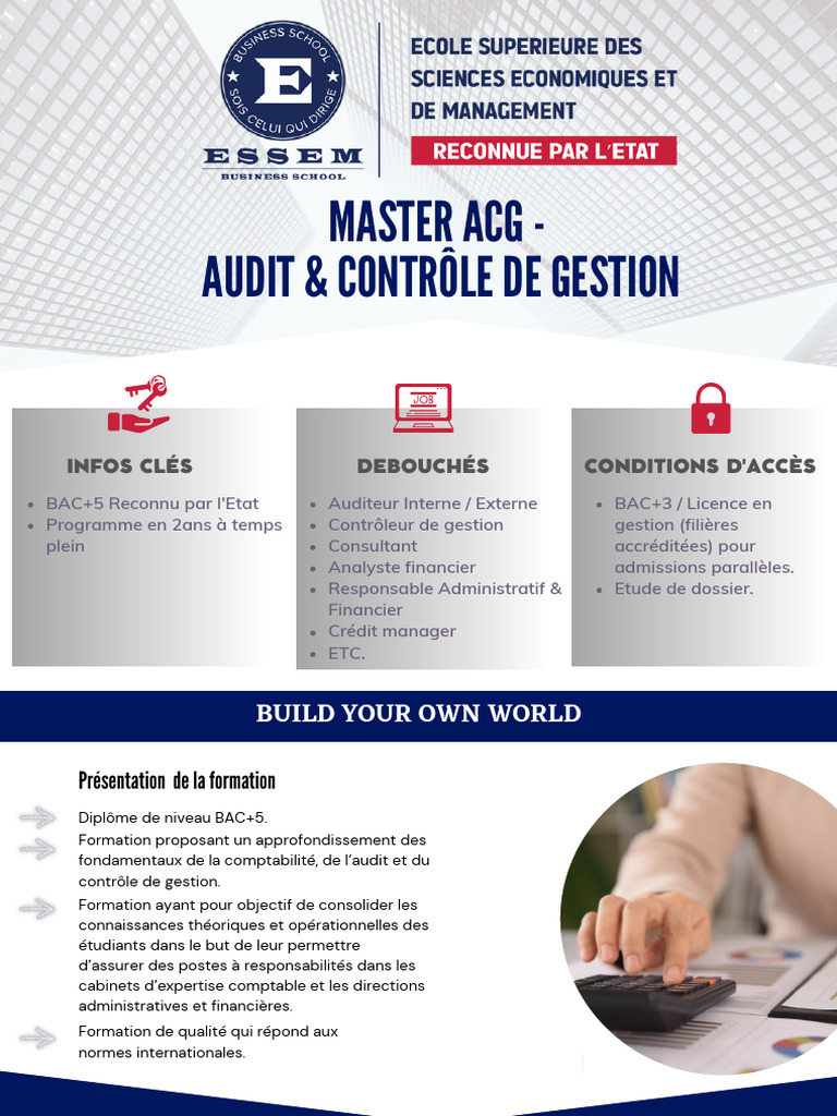 Master ACG : Audit et Contrôle de Gestion | PDF | Audit | Services ...