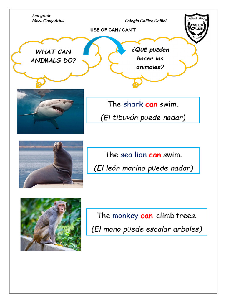 2ºgrado Lesson Can-Cant | PDF