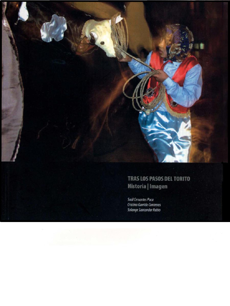 Idoc - Pub - Baile El Torito | PDF | Bailes | Carnaval