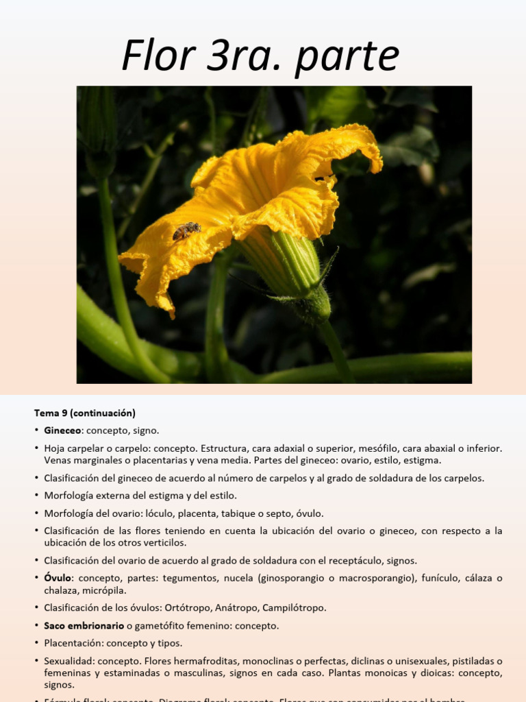 Presentación Flor 3ra Parte 2023 | PDF | Flores | Horticultura
