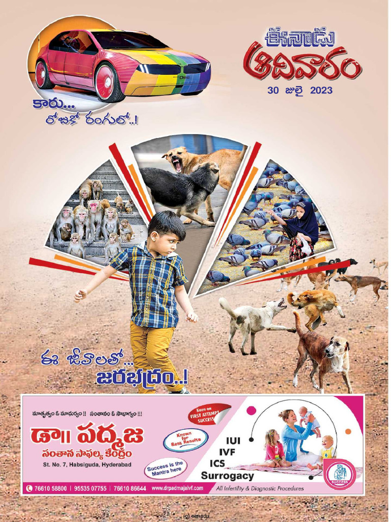 Eenadu Sunday HD 30-07-2023 | PDF
