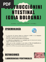 Obstrucción Intestinal Por Adherencias y Bridas | PDF | Especialidades ...