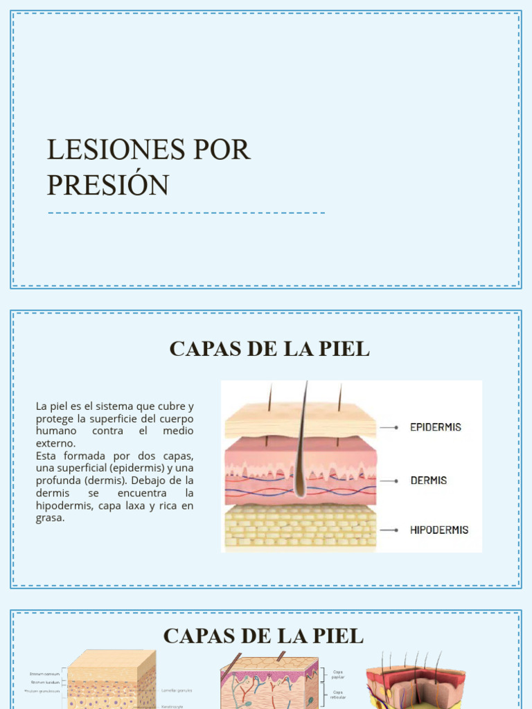 UPP | PDF | Piel | Epidermis