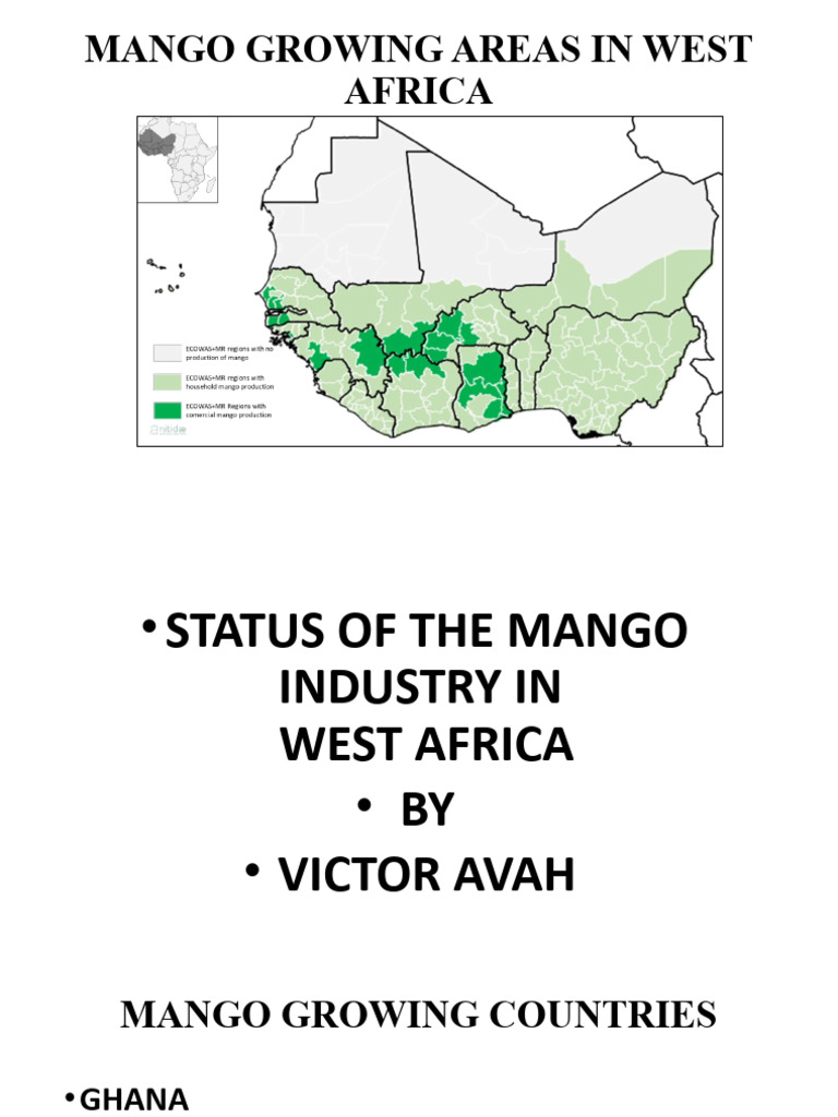 Mango Production in West Africa | PDF | Mango | Ghana