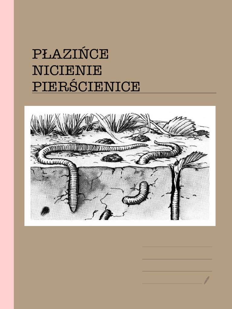 Płazińce, nicienie, pierścienice | PDF