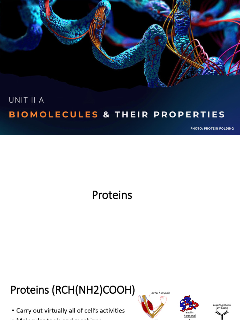 Unit-2 Biomolecule Proteins | PDF