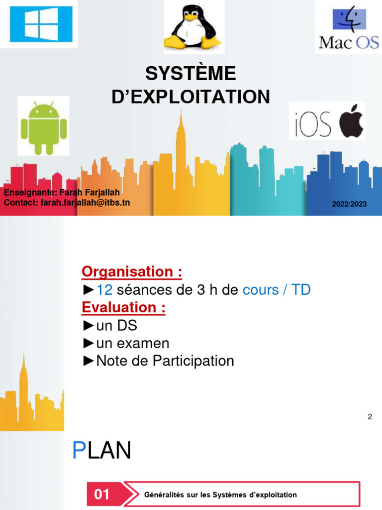 Exploitation System | PDF