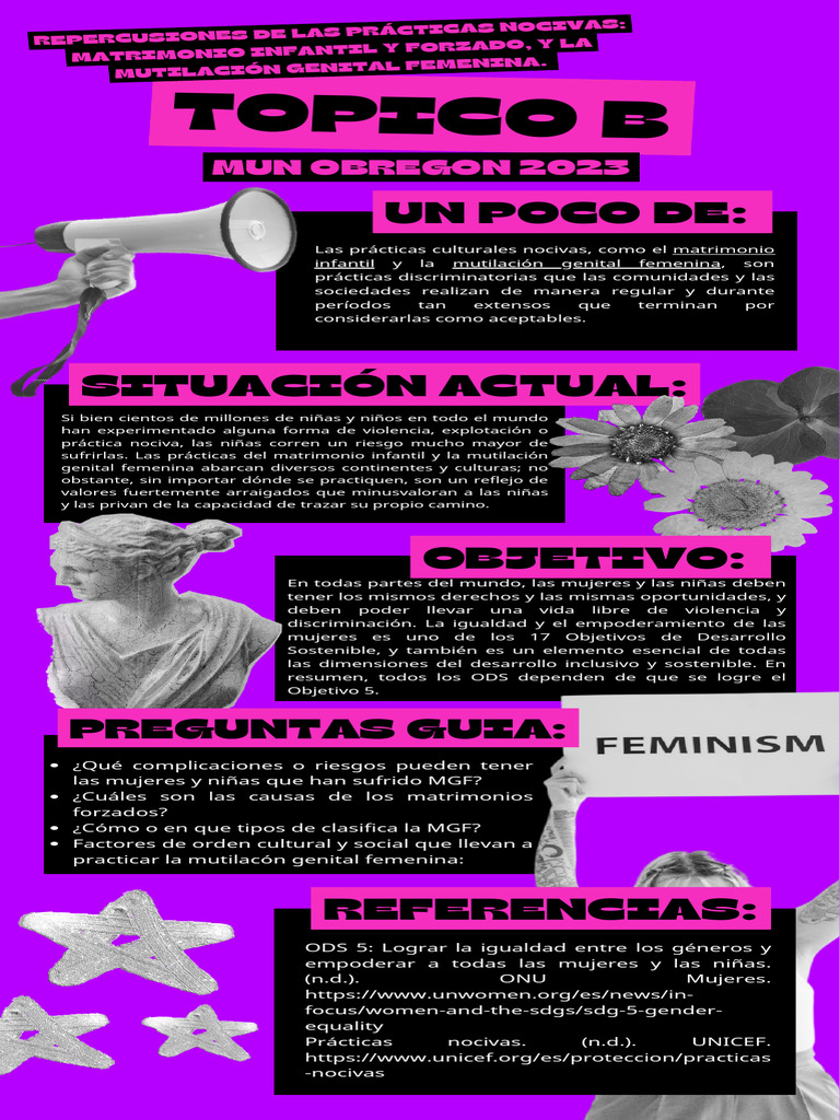 Infografía conceptos feministas #8m Día internacional de la Mujer ...