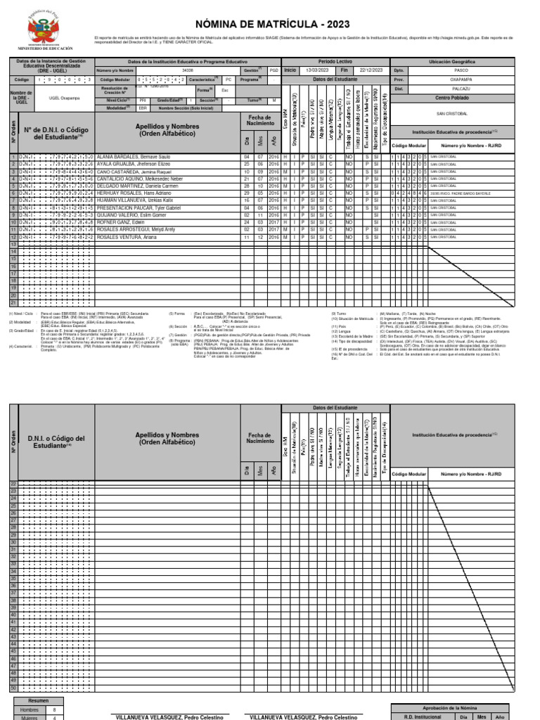 RPT Formato Oficial | PDF