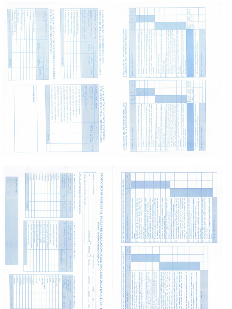 Epre Protocolo A-3 | PDF