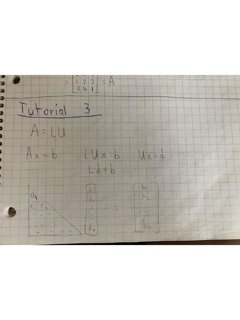 CSCC37 Tutorial Week 3 PG 1 | PDF