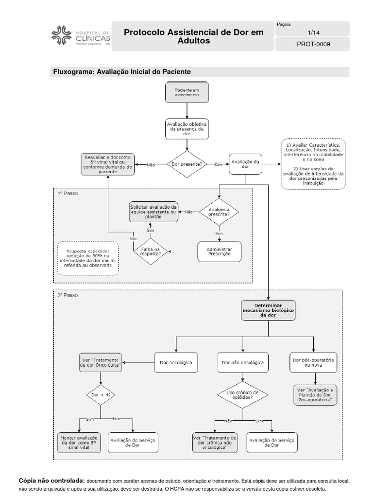 Protocolo Assistencial de Dor em Adultos 2019 | PDF | Dor | Opioide