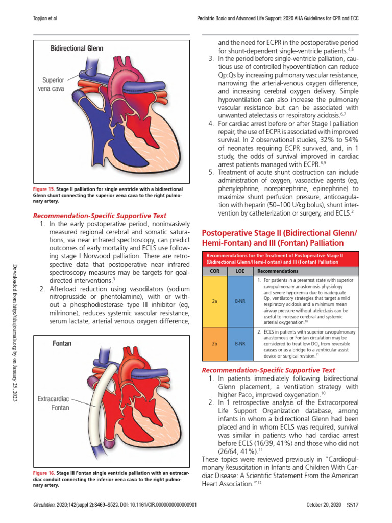 Postoperative Stage II (Bidirectional Glenn/ Hemi-Fontan) and III ...