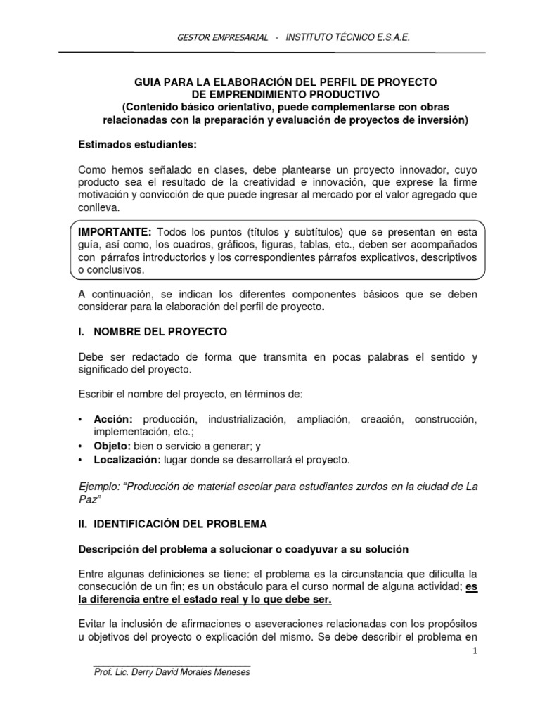 Guía para Elaborar un Perfil de Proyecto | PDF | Producto (Negocio ...
