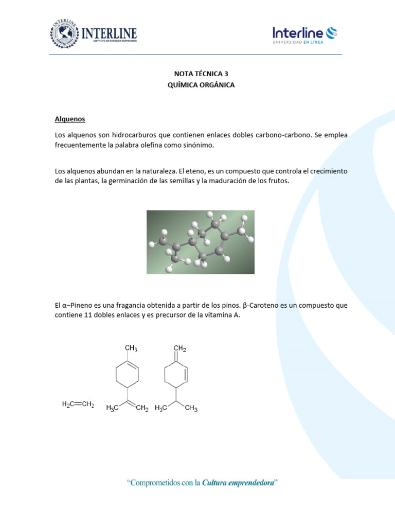 3-Quimica Organica | PDF