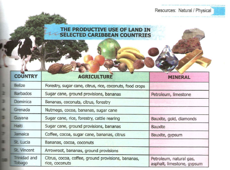Distribution of Natural Resources in The Caribbean | PDF