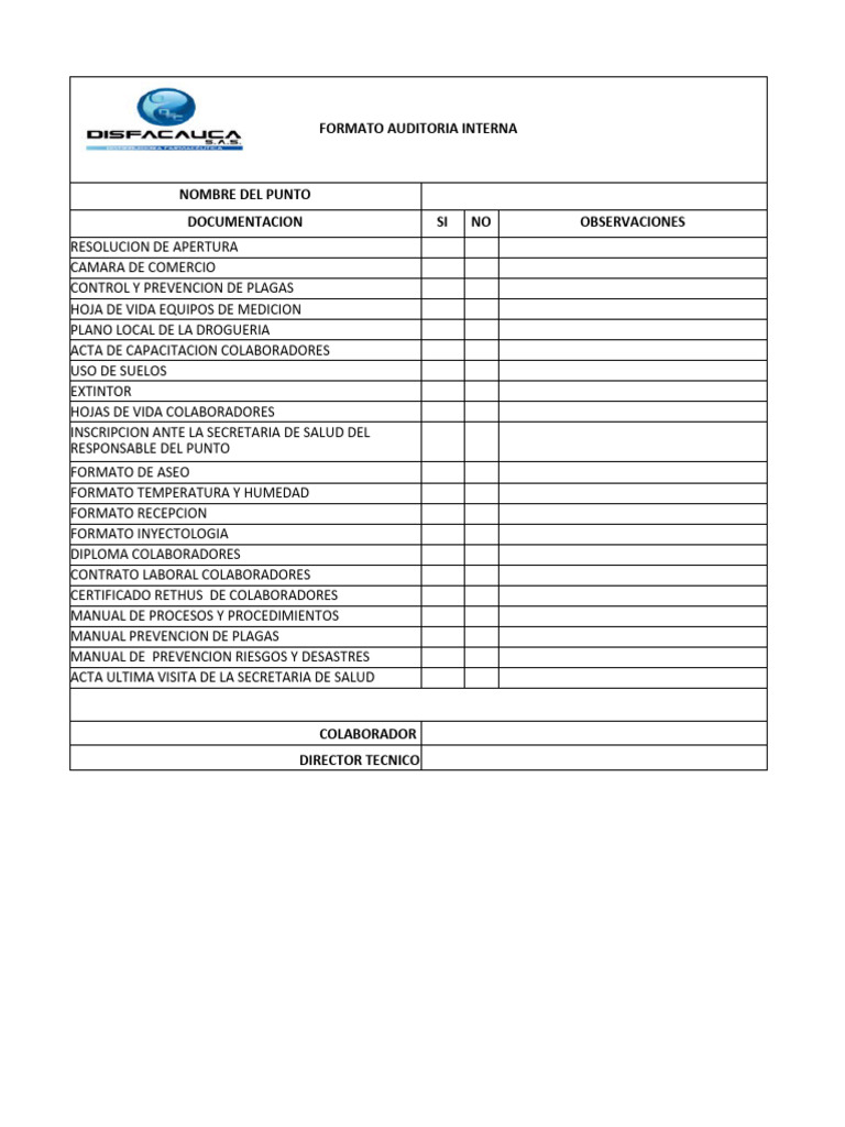 Formato Auditoria Interna 00999 | PDF