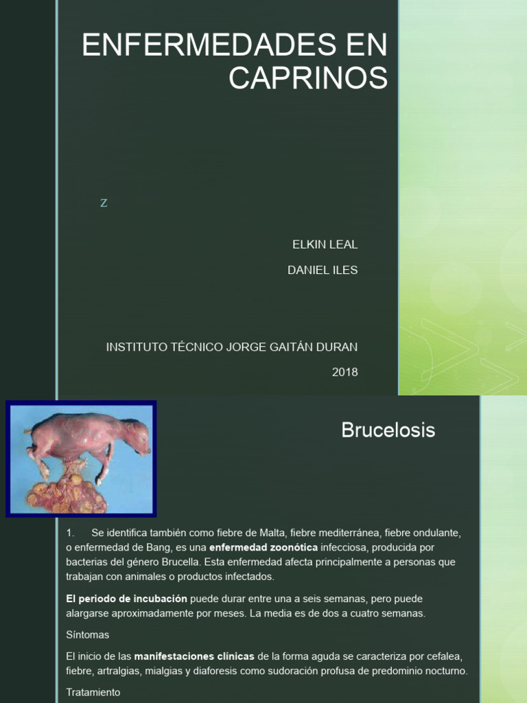 Enfermedades en Caprinos | PDF