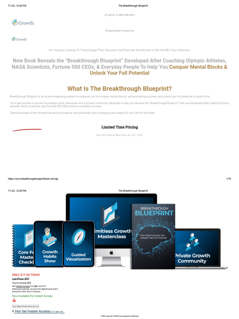 Breakthrough Blueprint for Success | PDF
