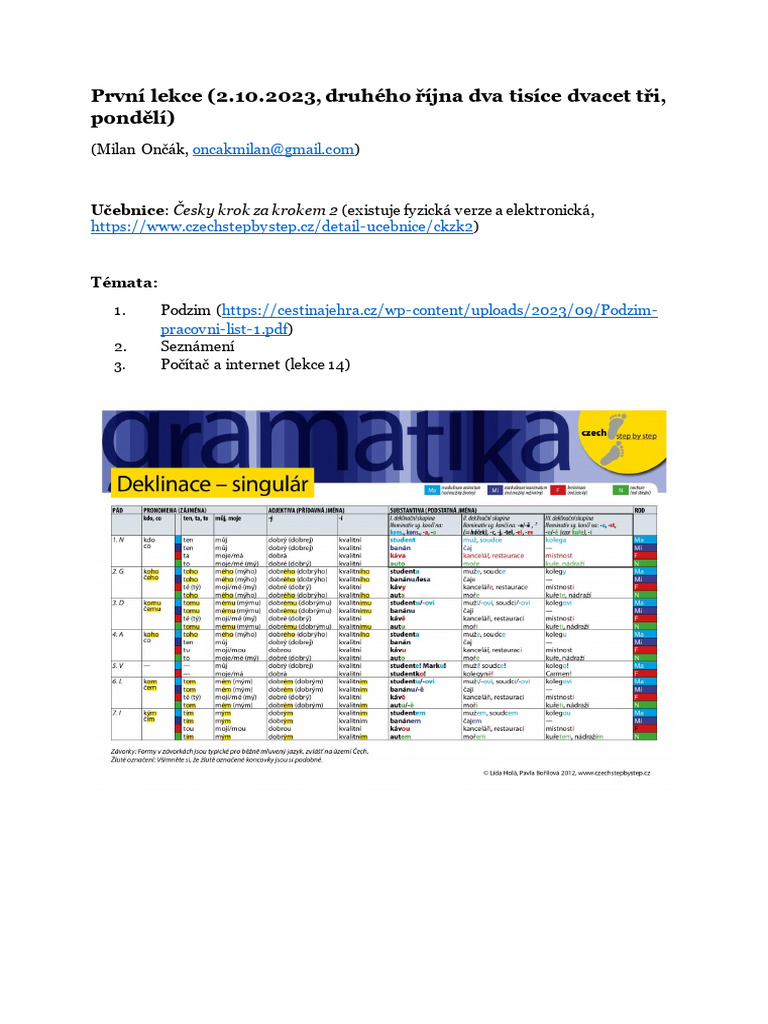 Čeština První Lekce | PDF