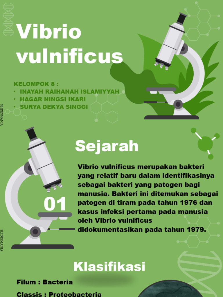 Kelompok 8 Vibrio Vulnificus | PDF