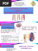 Clasificación CEAP de Insuficiencia Venosa | PDF | Trombo | Vena