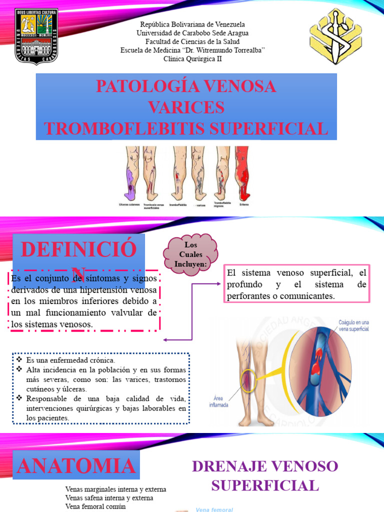 Patología Venosa: Varices y Tratamientos | PDF