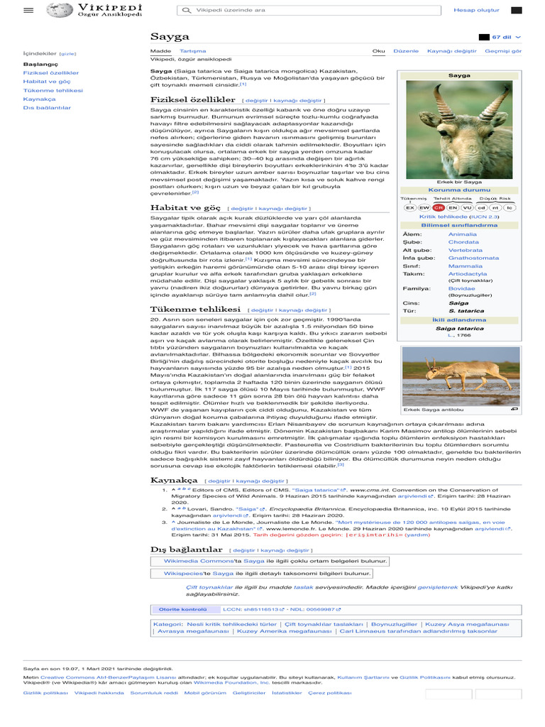 Sayga - Vikipedi | PDF