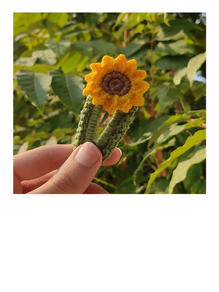 Sunflower | PDF