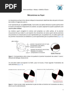 Types de failles géologiques expliqués | PDF | Faille (Géologie ...