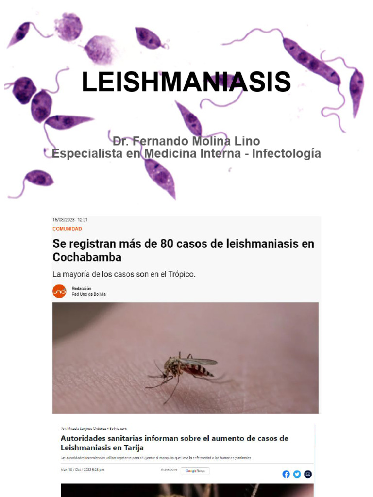 LEISHMANIASIS | PDF