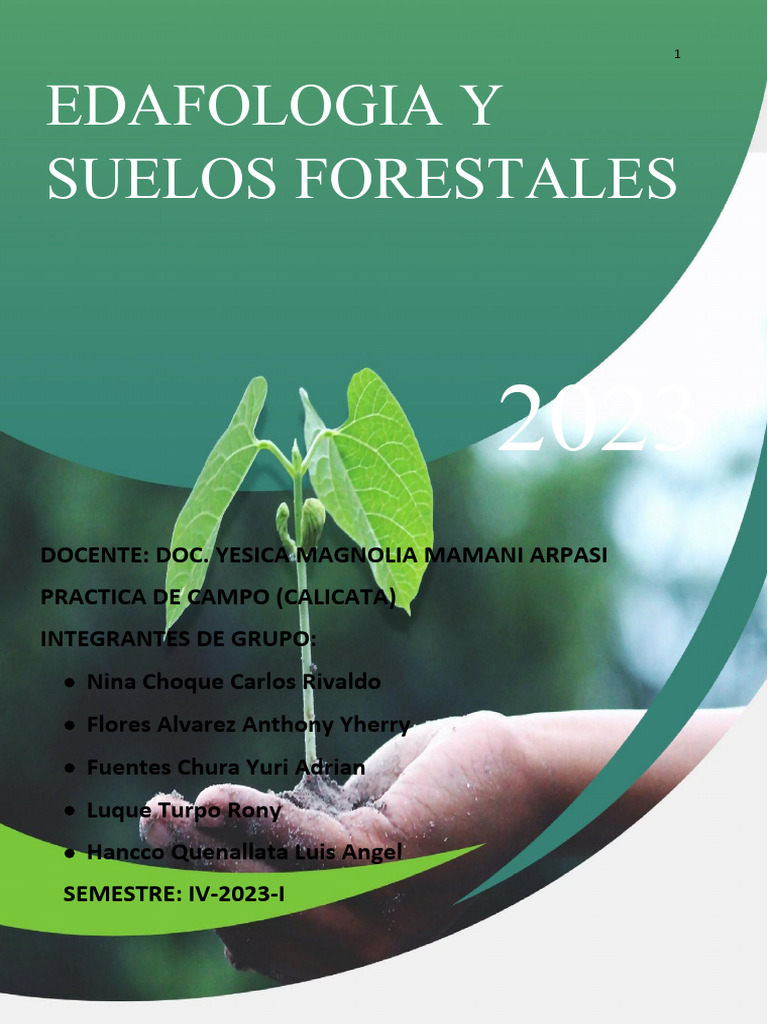 Informe de Practica de Campo (Calicata) | PDF