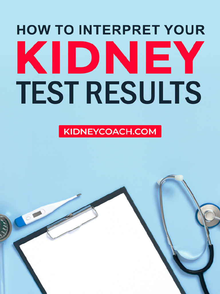 How to Interpret Your Kidney Test Results | PDF | Creatinine | Diabetes