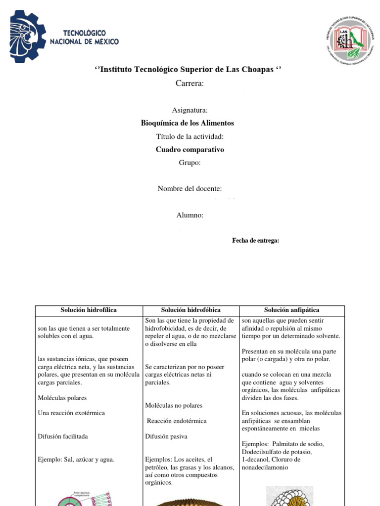 Cuadro comparativo de Solución hidrofílica, Solución hidrofóbica ...