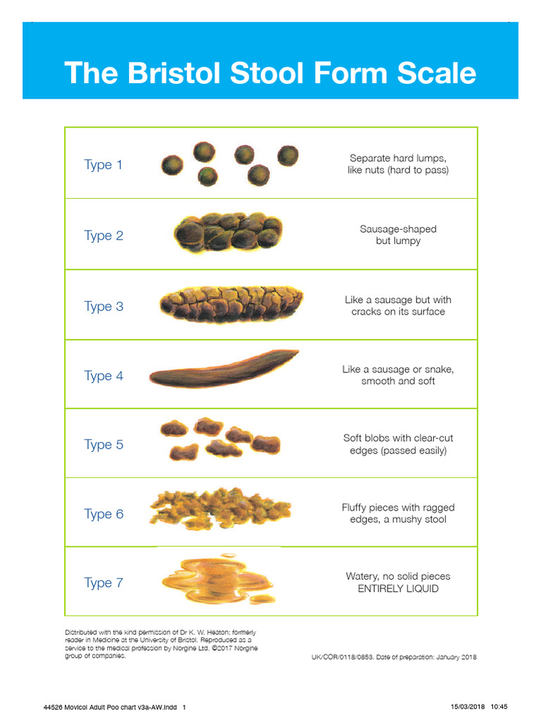 Bristol Stool Chart PDF-compressed | PDF