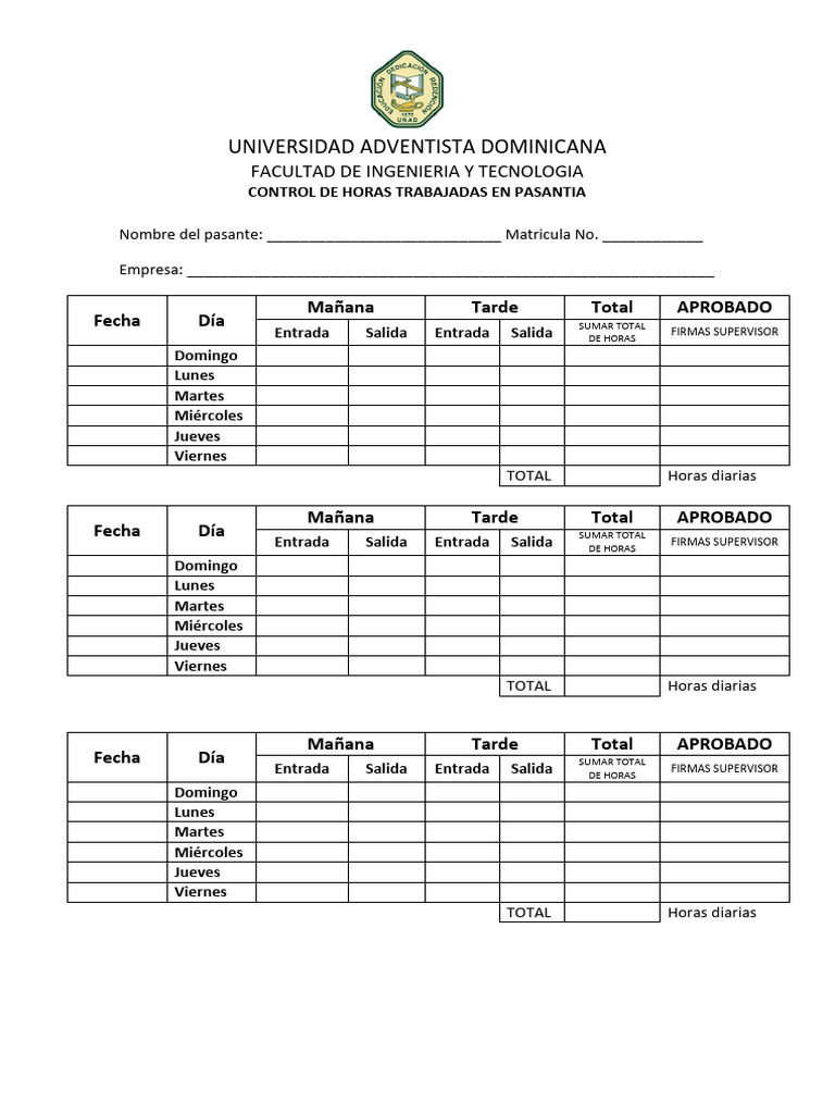 Control de Horas Trabajadas en Practica Profesional | PDF