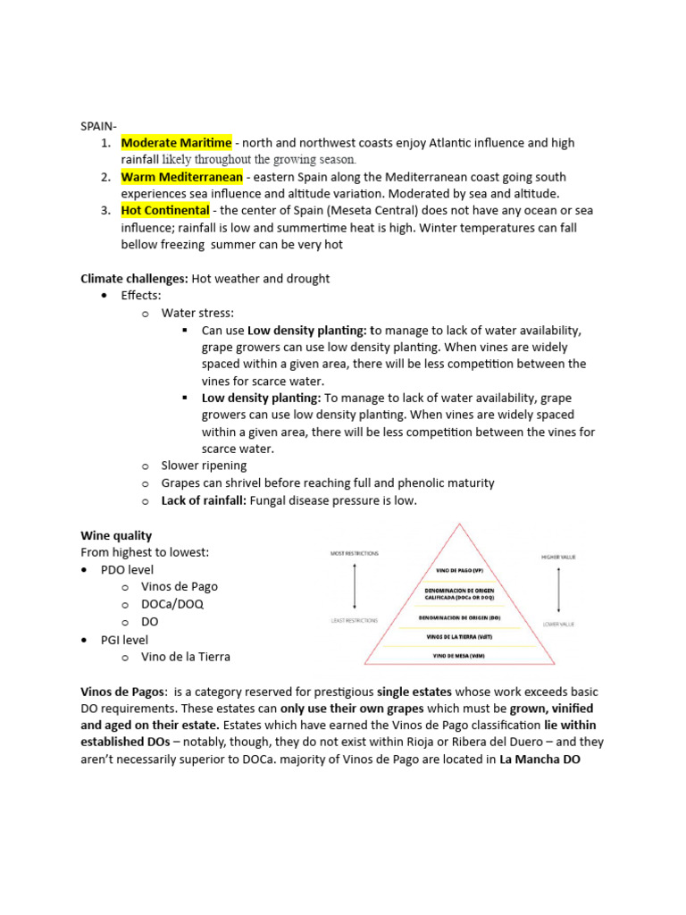 Spain Wset Level 3 | Download Free PDF | Viticulture | Fermented Drinks