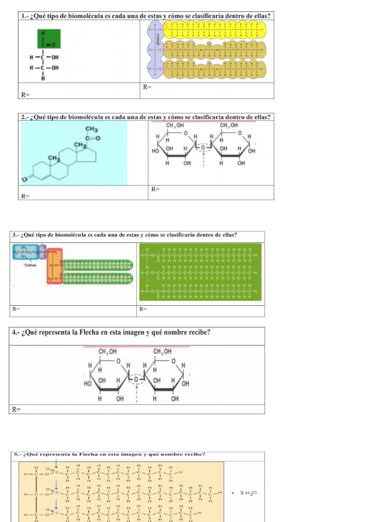 Lipidos Ejercicios Pdf