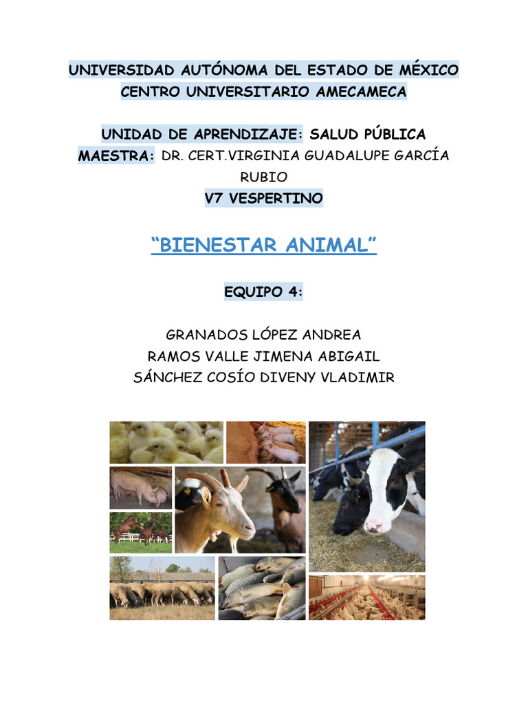 E2-Equipo 4 - Bienestar Animal | PDF | Aves | Comportamiento